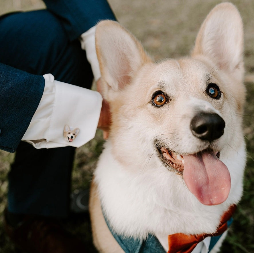 General Wedding Landing Page – Pawfect Love